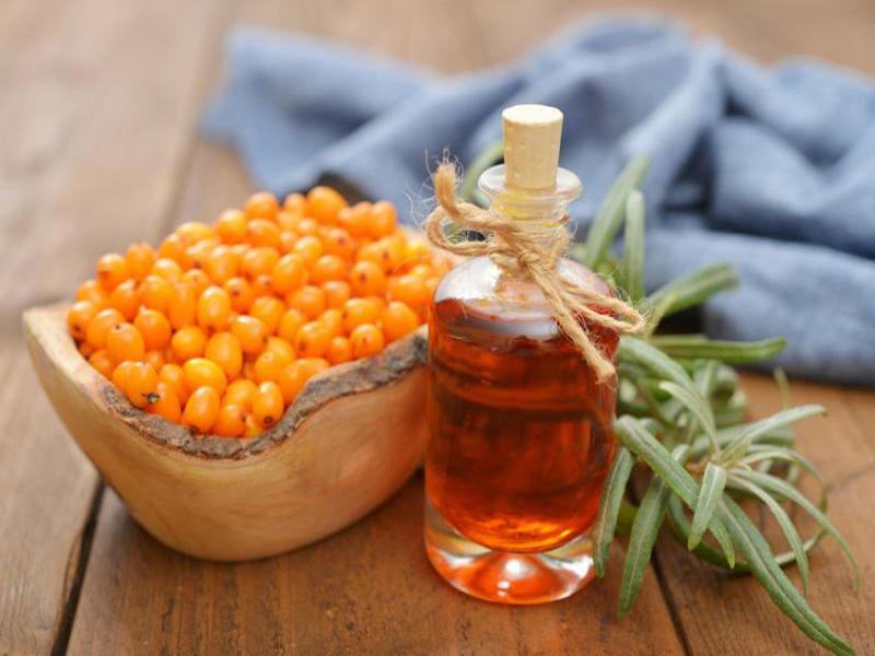 Những lợi ích của dầu hắc mai biển là gì? - ChaoBacSi.org